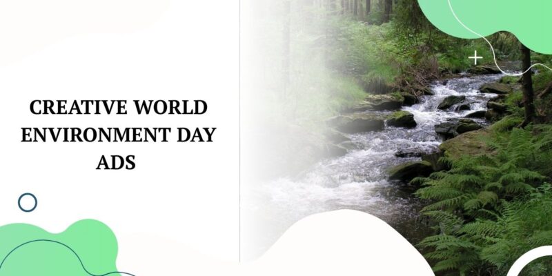 Creative World Environment Day Ads - Top 10 Campaigns of 2025